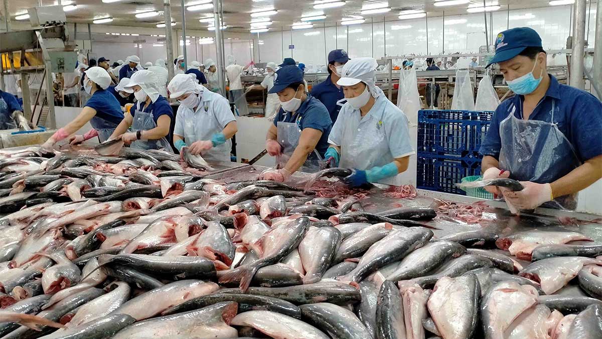 Pakistan’s seafood exports to China increase 34 percent in Jan-Sept ...